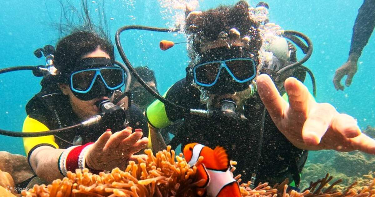 Maithon Private Island Small Group Scuba Diving: 2 Dives Half Day - Klook Canada